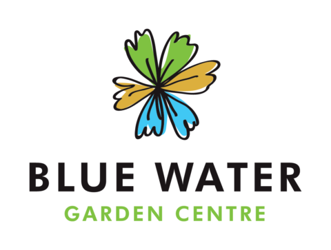 Nelson Bay Touch Association | Touch Football Association